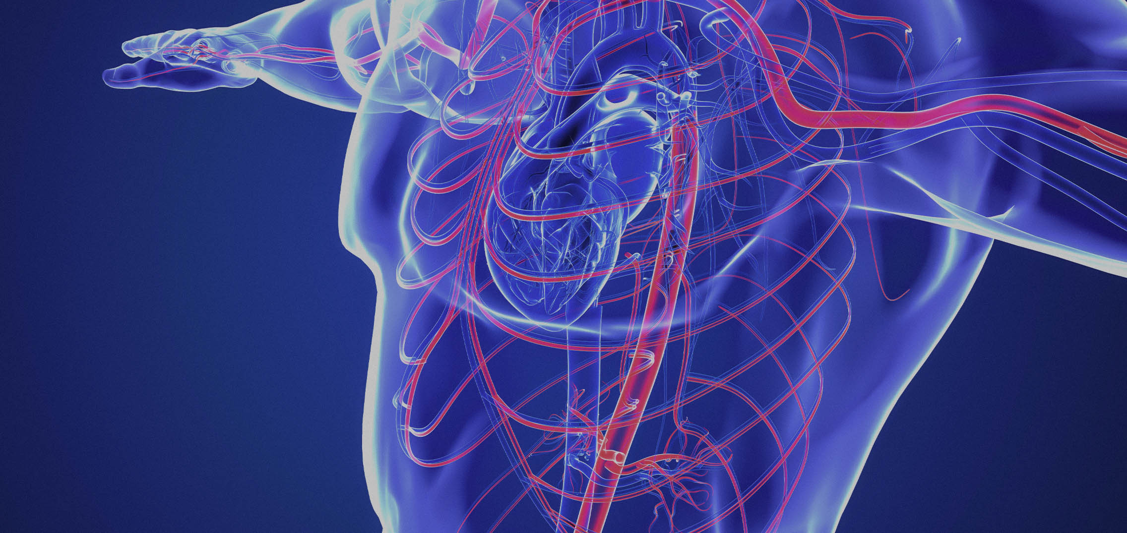 Angiologia - Hospital São Marcelino Champagnat